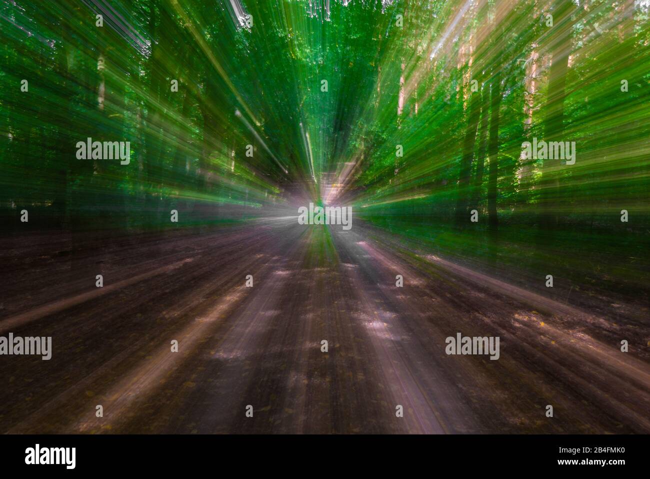 Forest road creatively photographed with distortions Stock Photo - Alamy