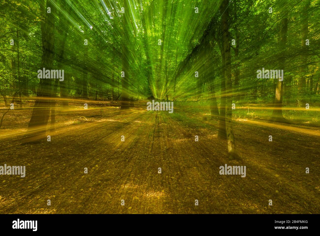 Harmonic distortion hi-res stock photography and images - Alamy