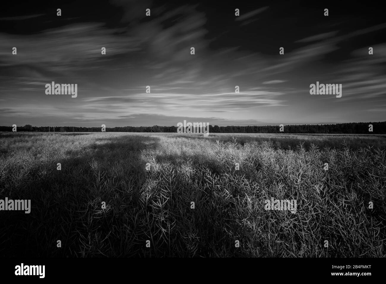 Long exposure Black and White Stock Photos & Images - Alamy