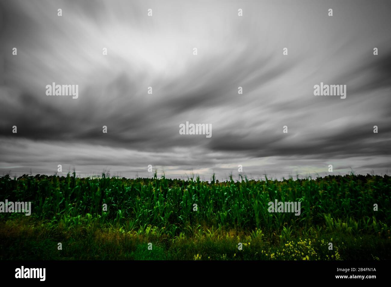 Field exposure hi-res stock photography and images - Alamy