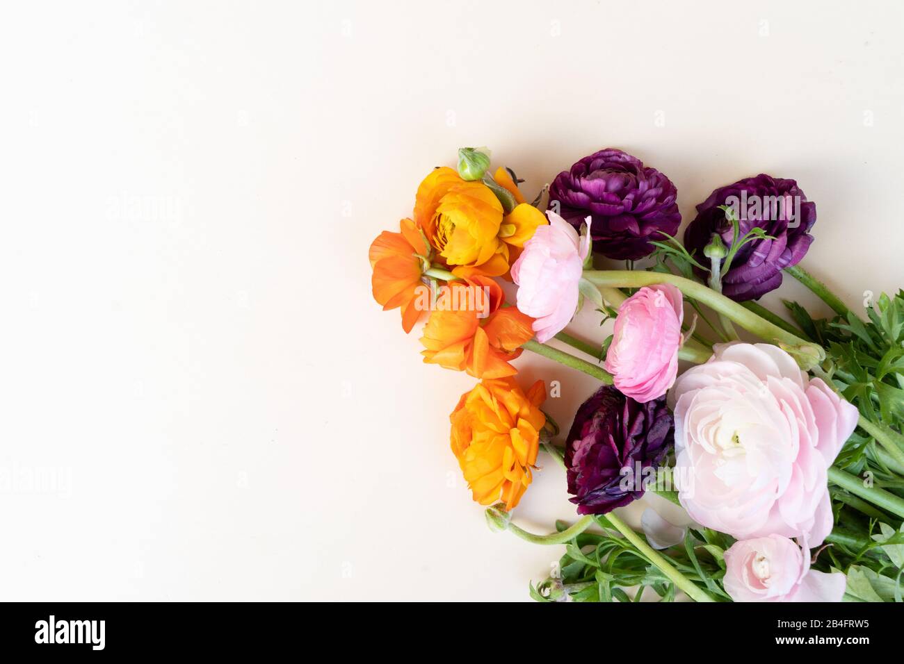 Flowers flat lay composition Stock Photo - Alamy