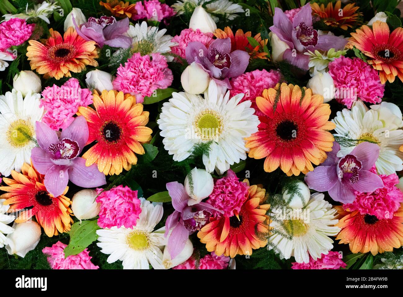 Flowers flat lay composition Stock Photo - Alamy