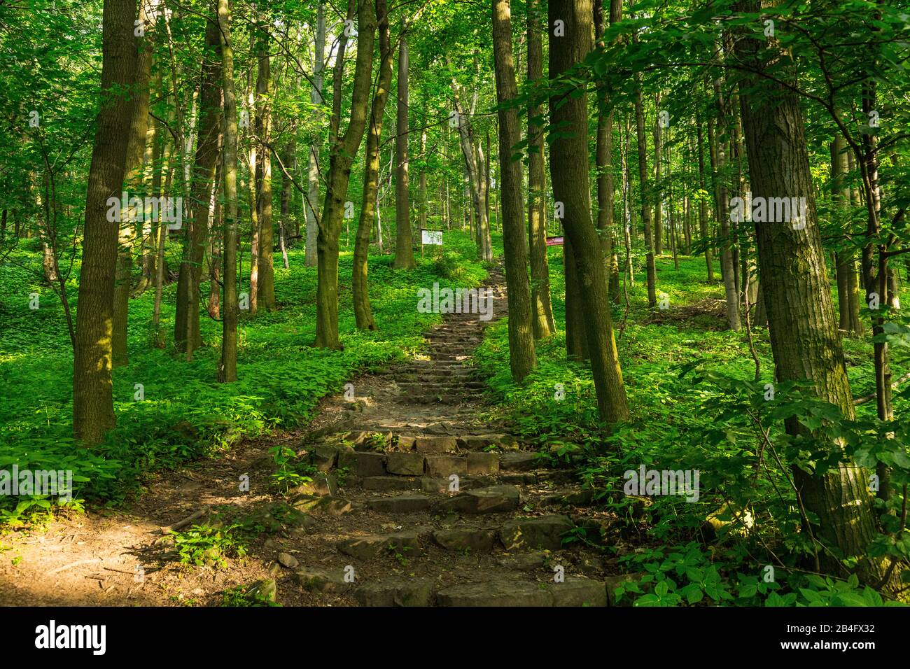Europe, Poland, Lower Silesia, Ostrzyca / Spitzberg - extinct volcano ...