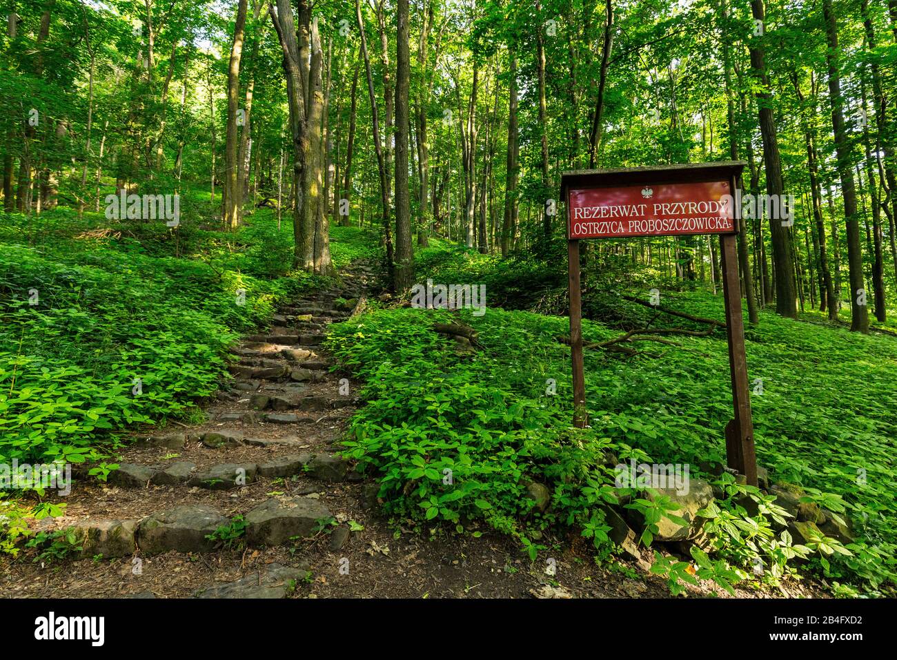 Europe, Poland, Lower Silesia, Ostrzyca / Spitzberg - extinct volcano ...