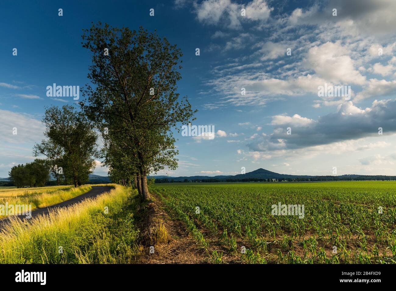 Europe, Poland, Lower Silesia, Ostrzyca / Spitzberg - extinct volcano ...