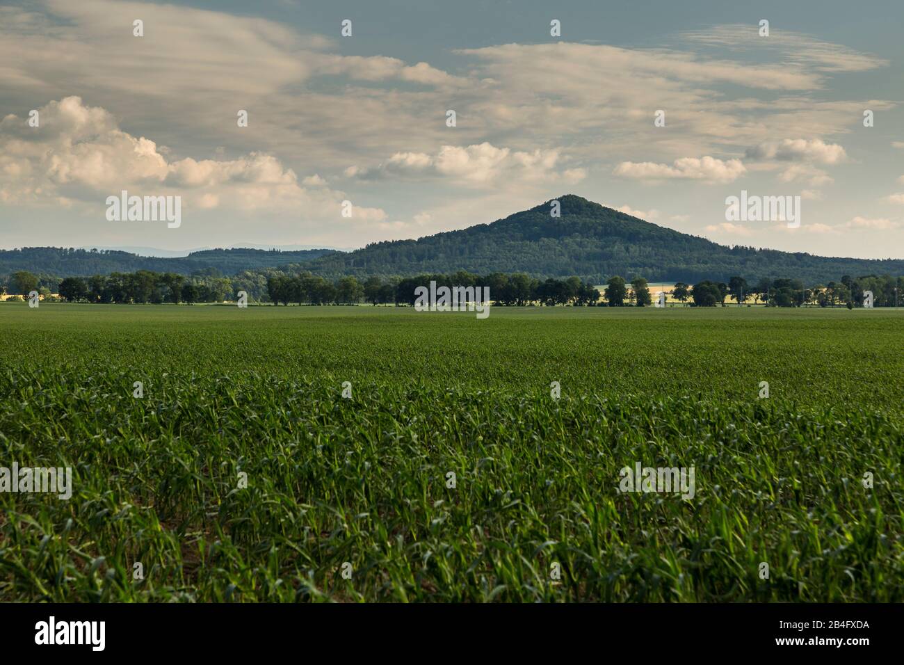 Europe, Poland, Lower Silesia, Ostrzyca / Spitzberg - extinct volcano ...