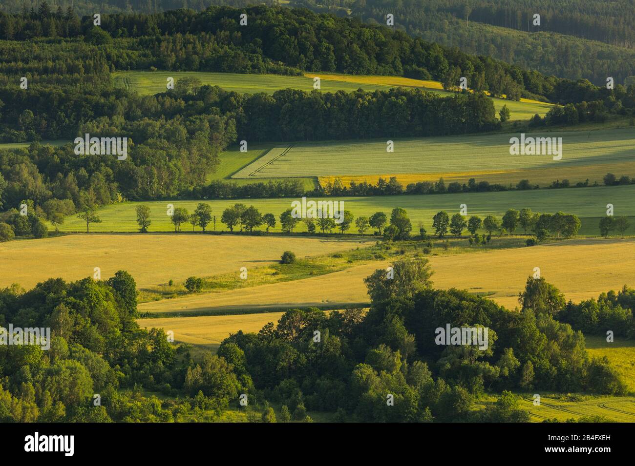 Europe, Poland, Lower Silesia, View from Ostrzyca / Spitzberg - extinct ...