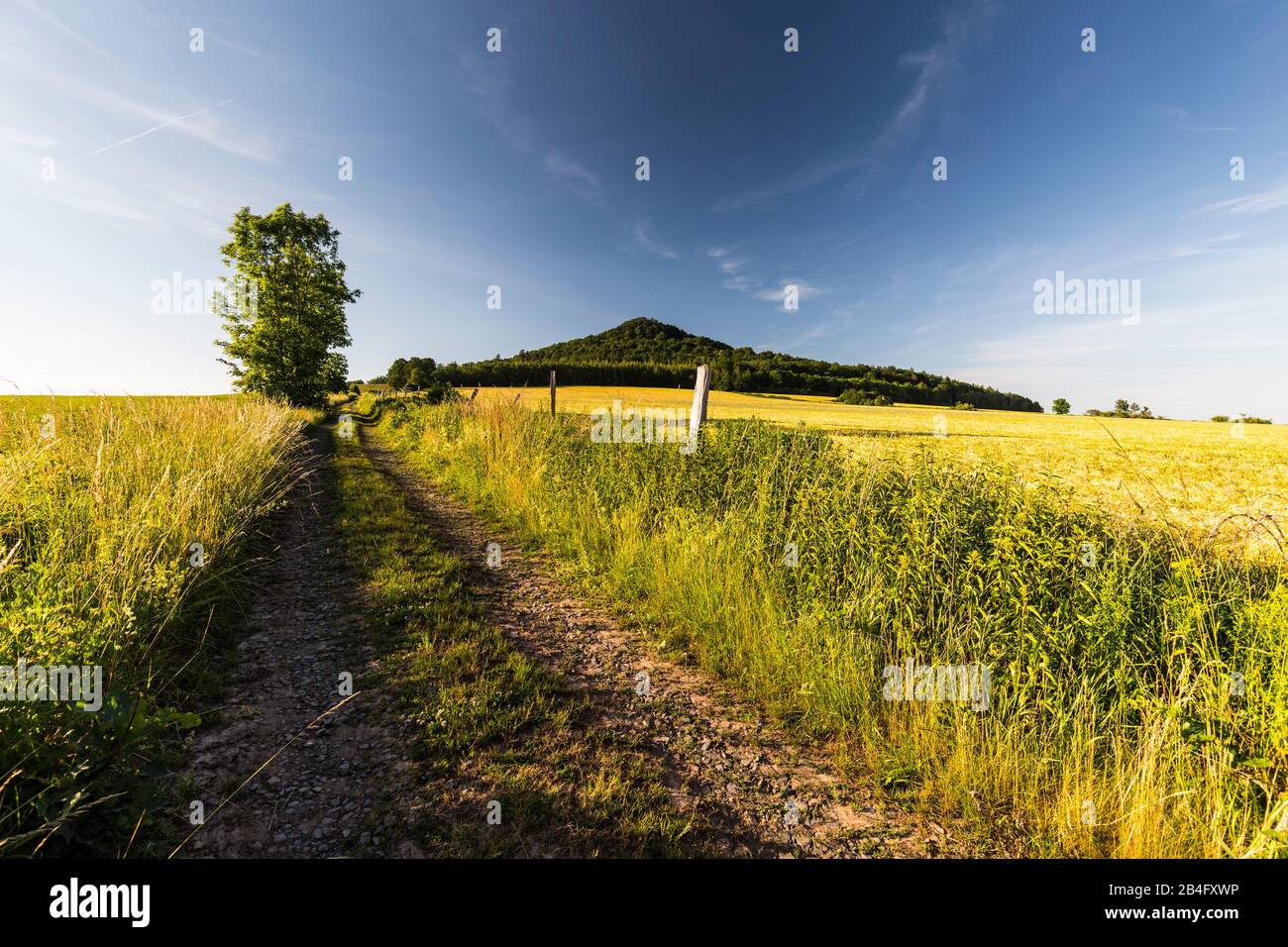 Europe, Poland, Lower Silesia, Ostrzyca / Spitzberg - extinct volcano ...