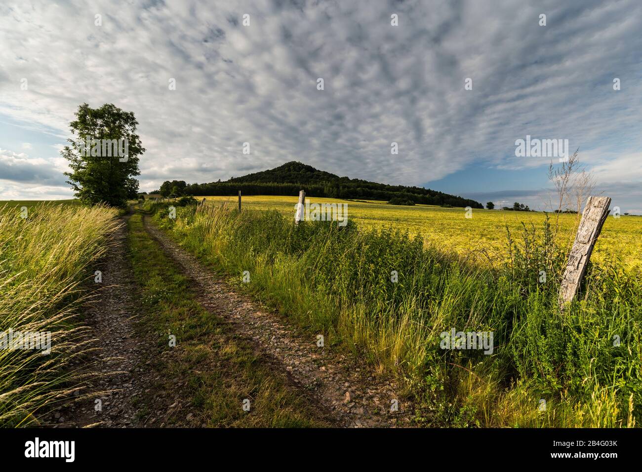 Europe, Poland, Lower Silesia, Ostrzyca / Spitzberg - extinct volcano ...