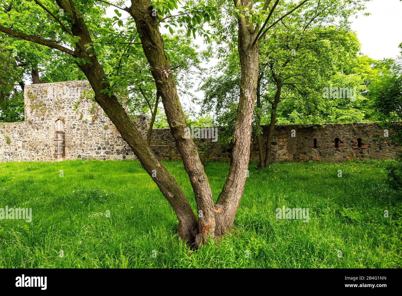 Lauban High Resolution Stock Photography and Images - Alamy