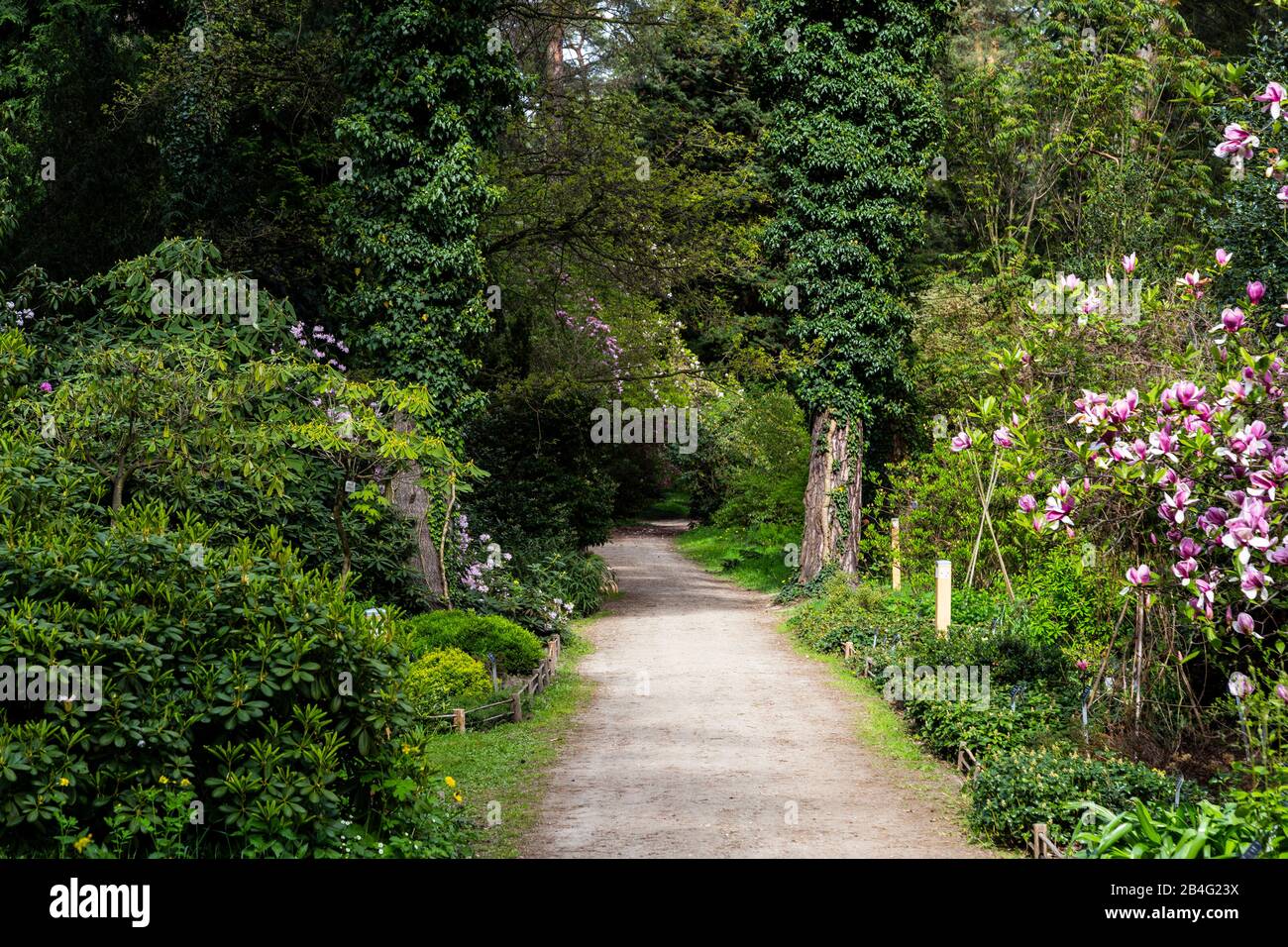 Arboretum polen hi-res stock photography and images - Alamy