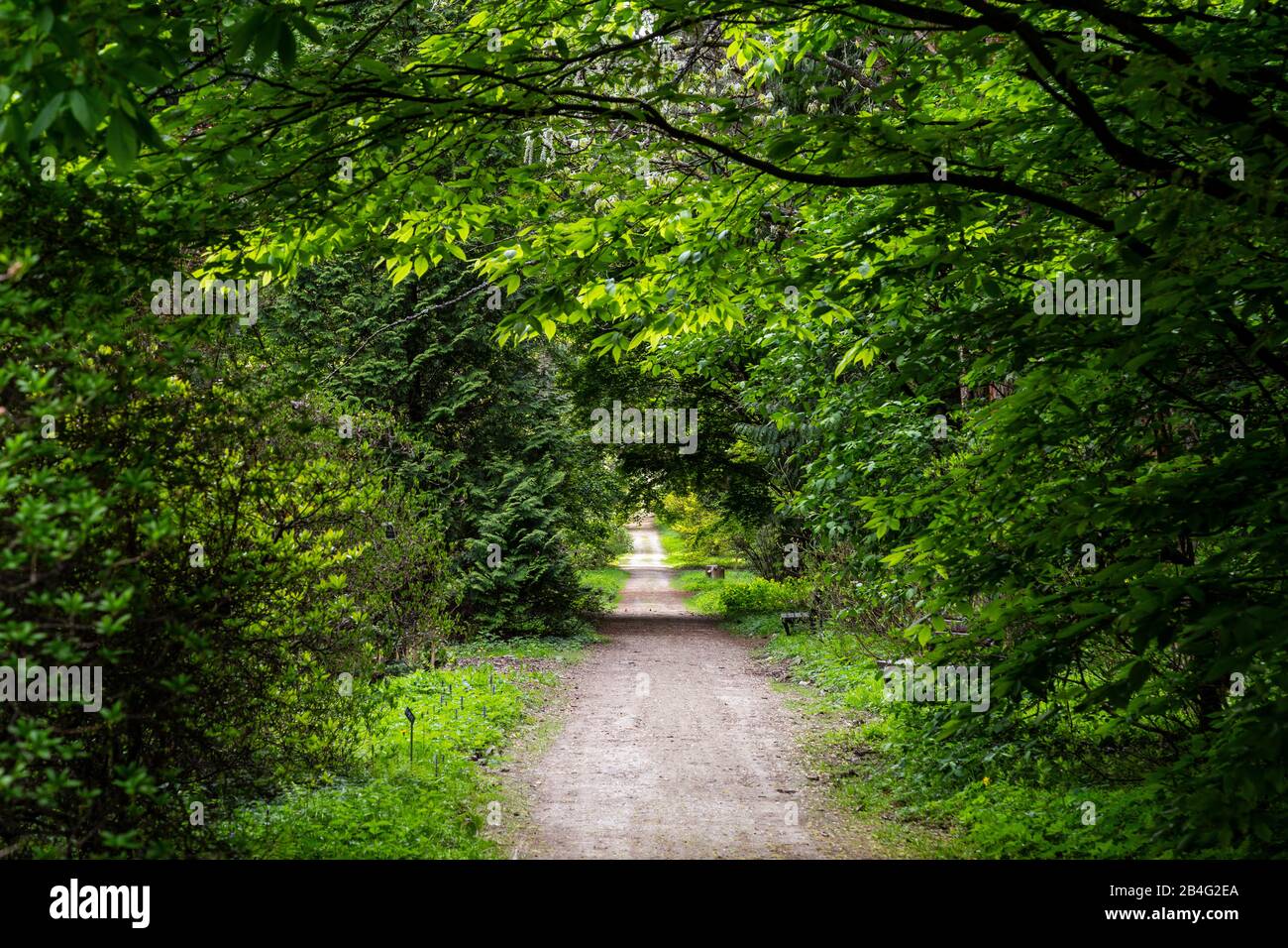 Arboretum polen hi-res stock photography and images - Alamy