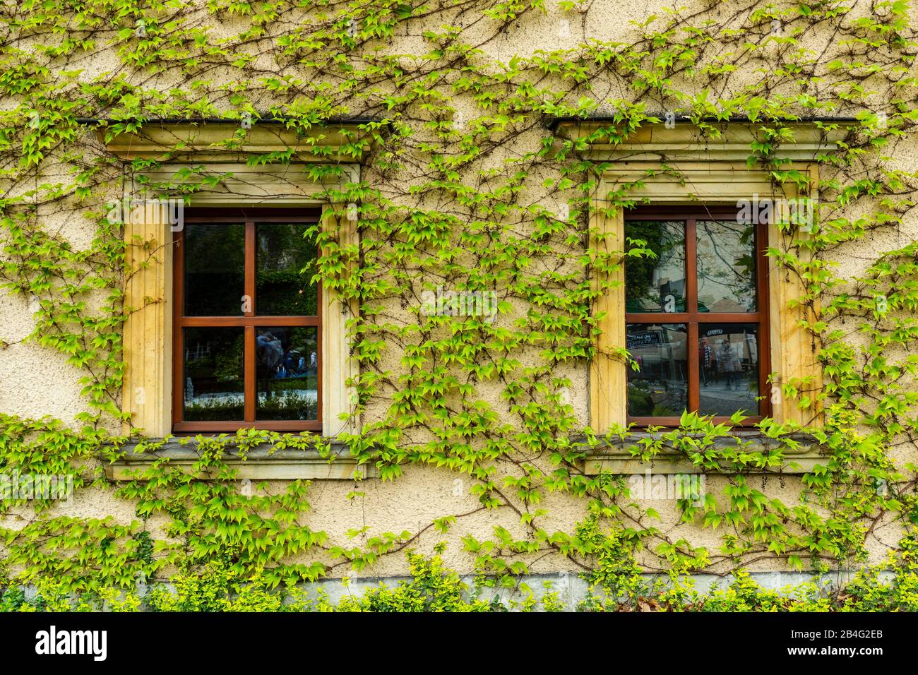 Zamek kliczkow schloss kliczkow schloss klitschdorf hi-res stock ...