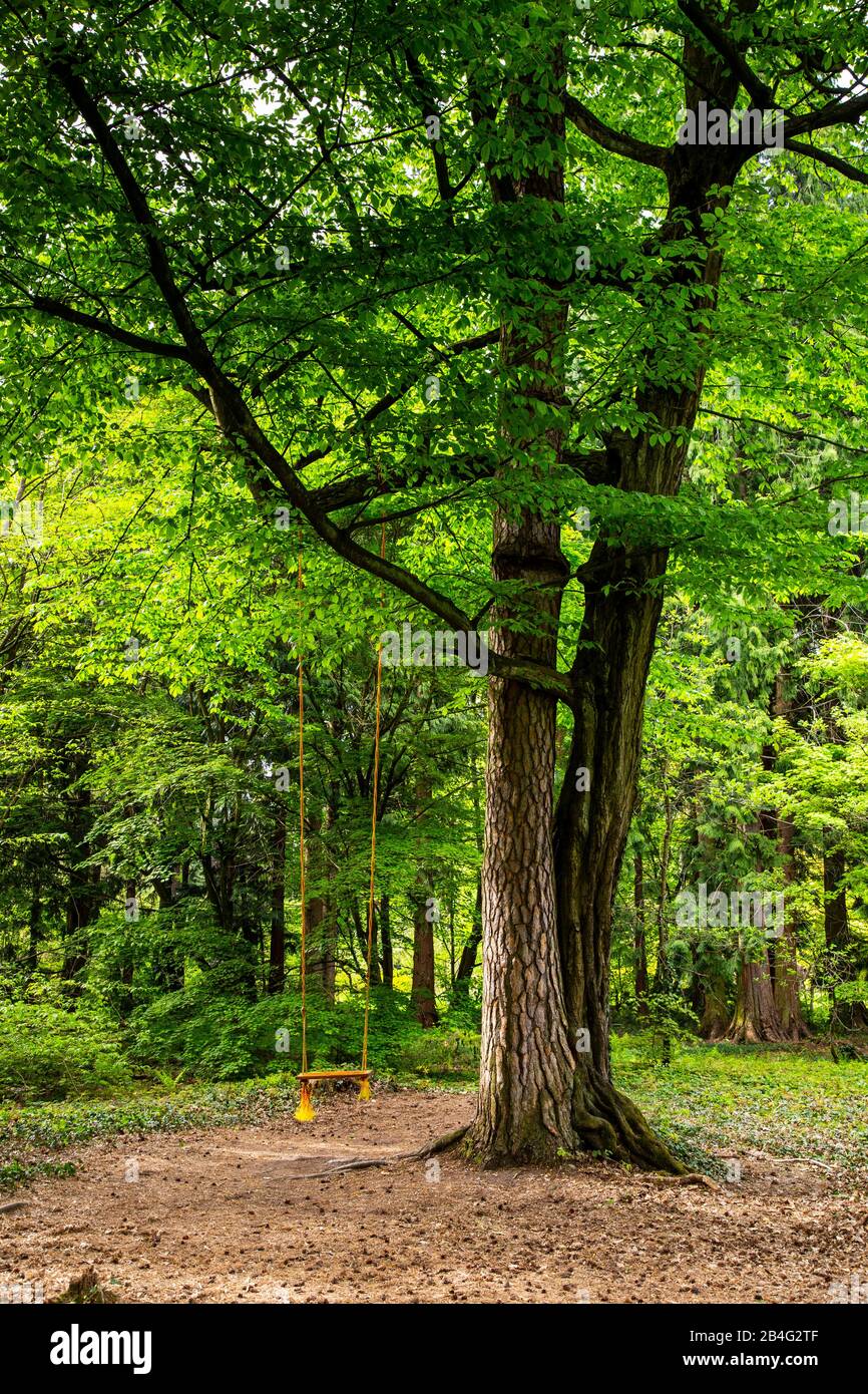 Arboretum polen hi-res stock photography and images - Alamy