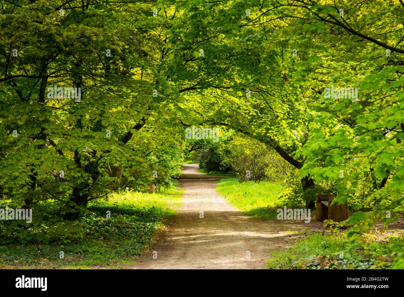 Arboretum polen hi-res stock photography and images - Alamy