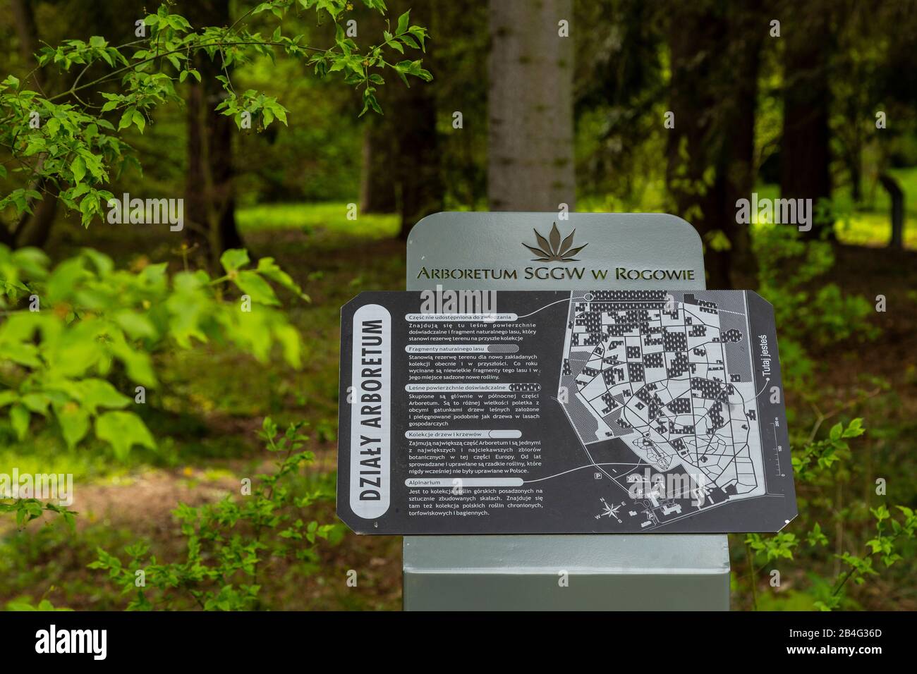Arboretum polen hi-res stock photography and images - Alamy