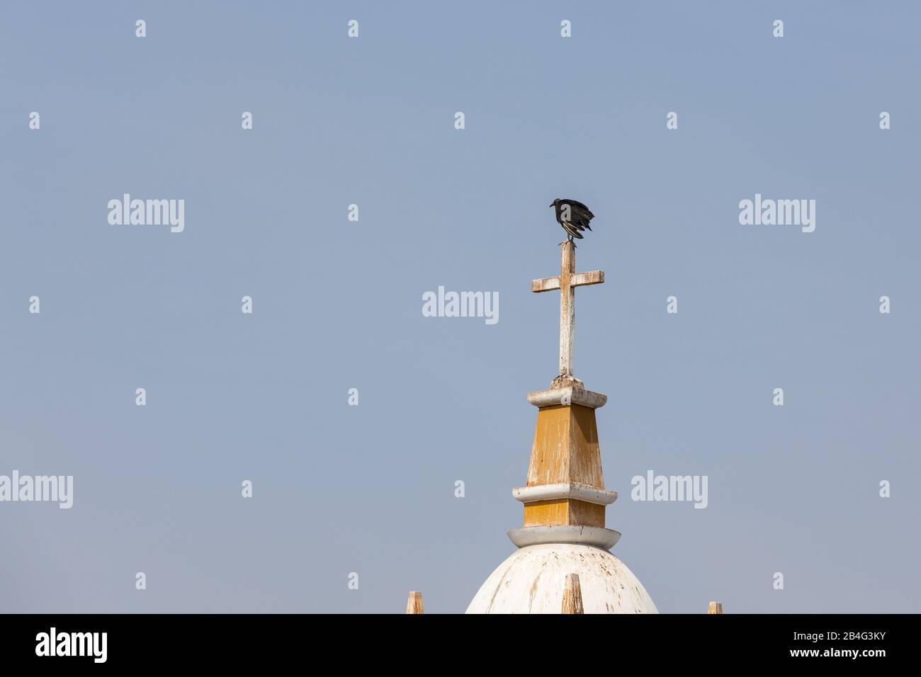 A large black vulture perched on top of a cross on the roof of a ...