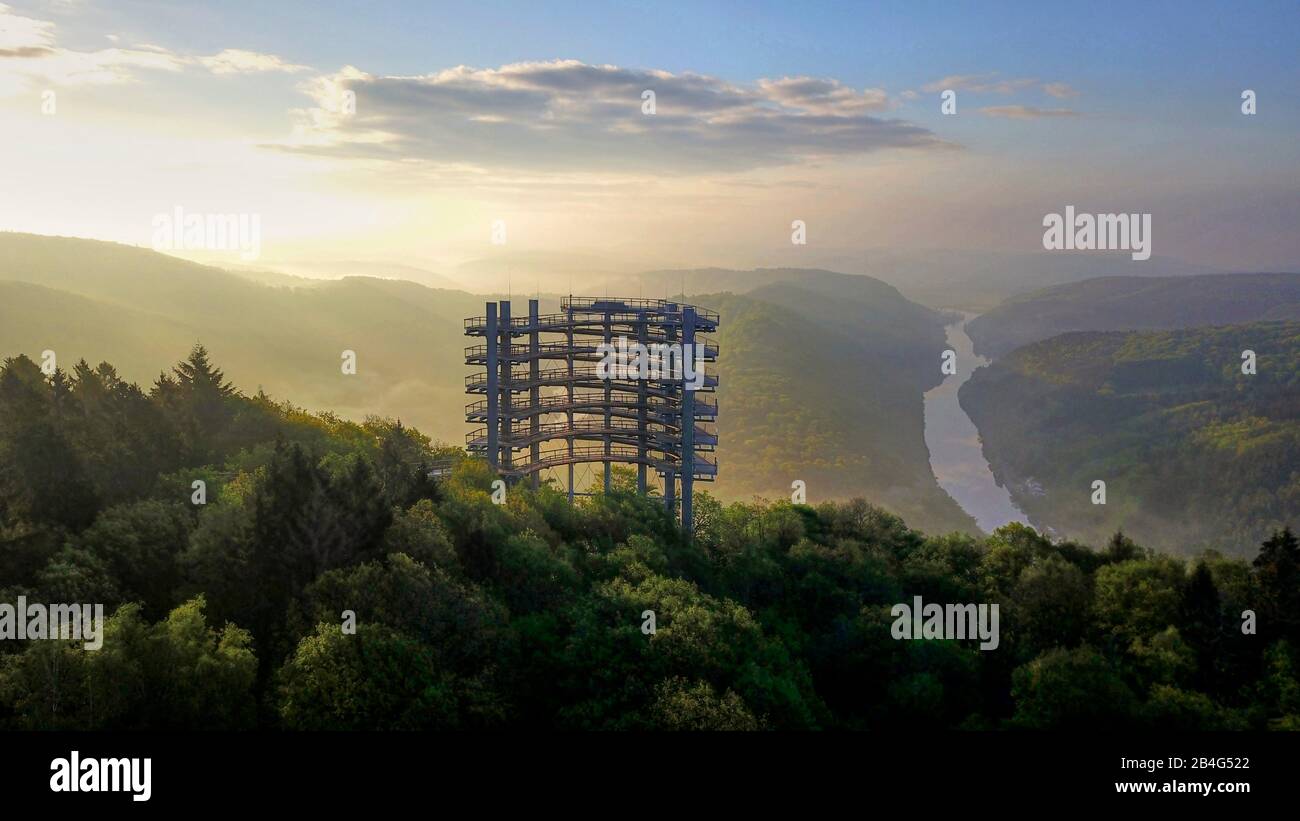 Tree top trail hi-res stock photography and images - Alamy