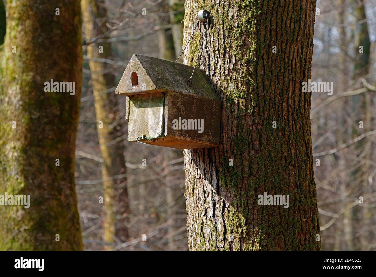 Nesting box in woods hi-res stock photography and images - Alamy