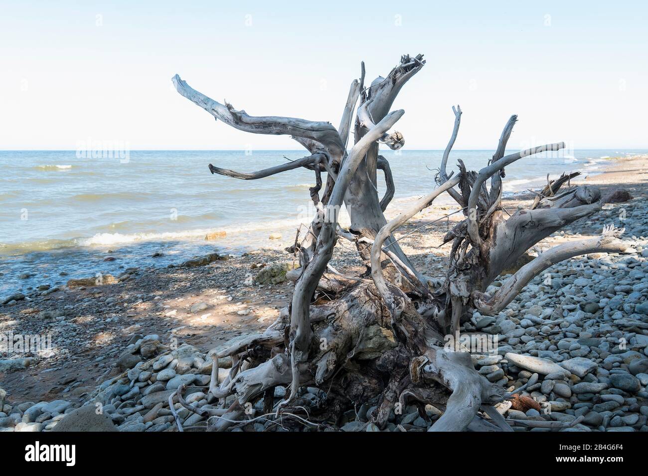 Ontika hi-res stock photography and images - Alamy