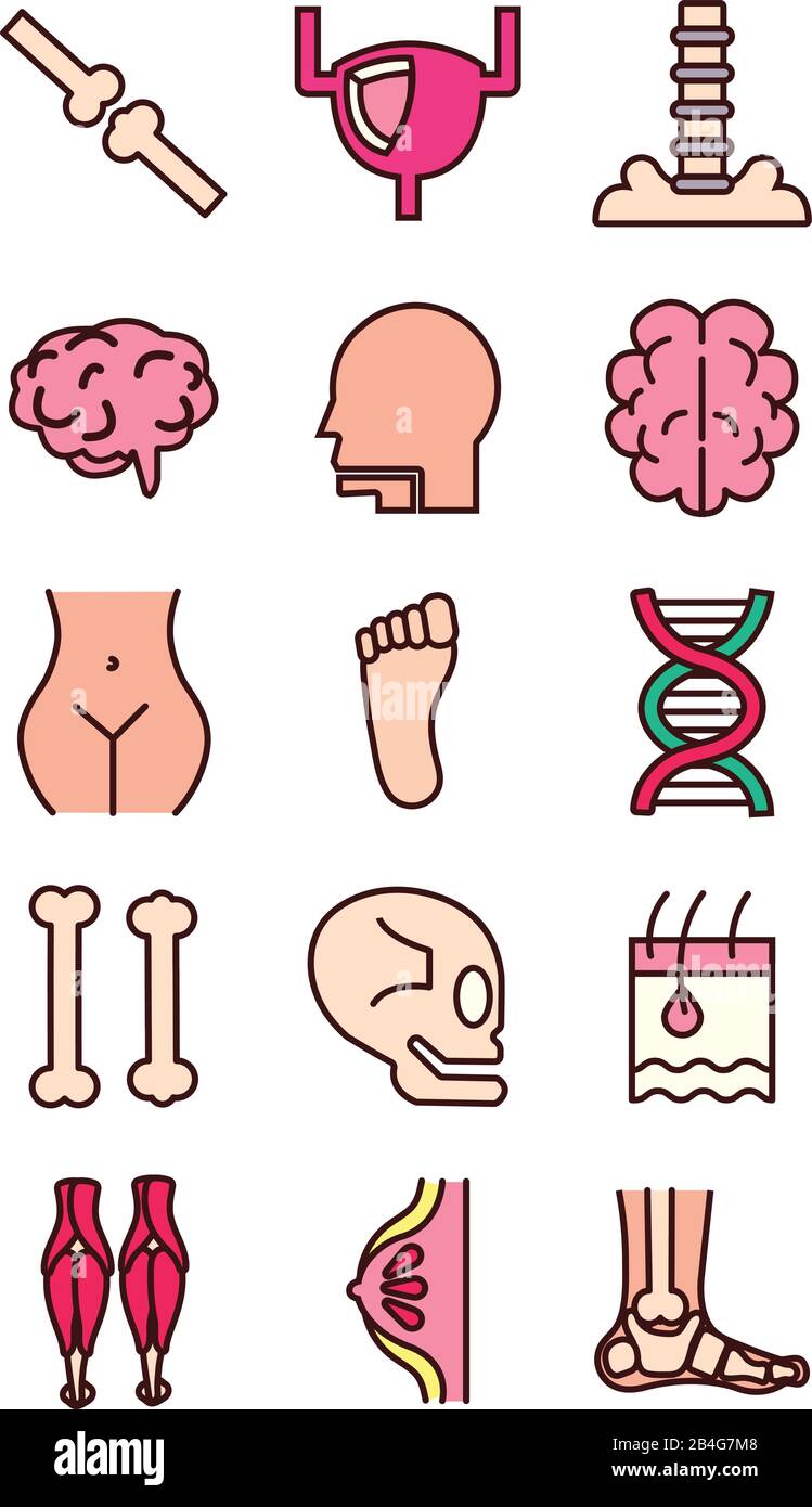 Body parts icons set cartoon Stock Vector Images - Alamy