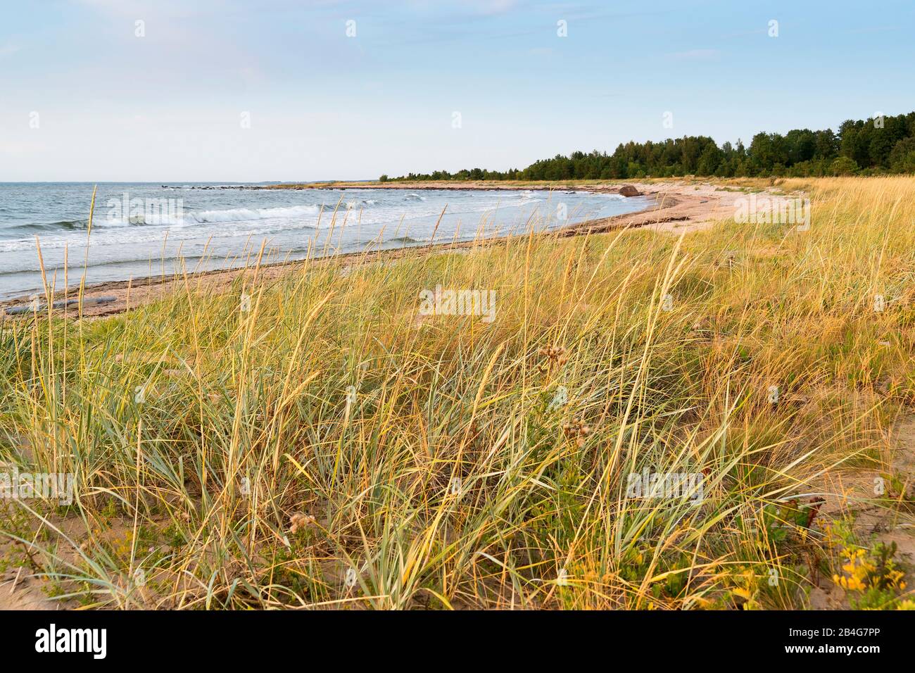 Saaremaa landscape hi-res stock photography and images - Alamy
