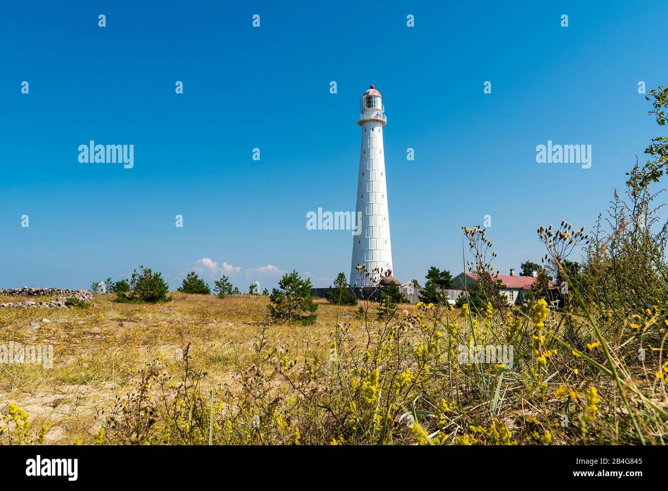 Estland, Ostseeinsel Hiiumaa, Nordspitze, Tahkuna-Leuchtturm, Tahkuna ...