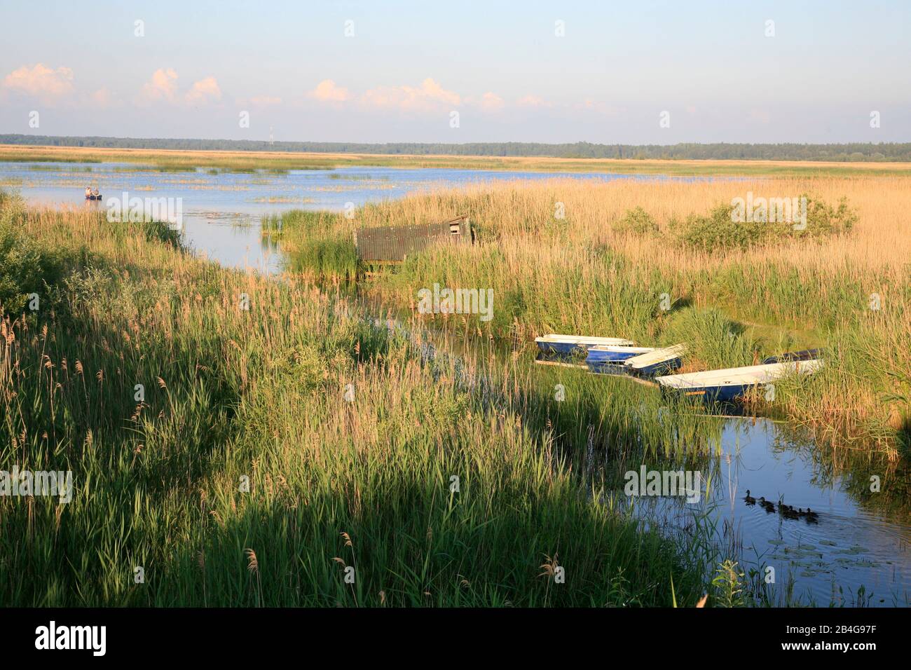 Nature Park, Pape, Latvia Stock Photo - Alamy