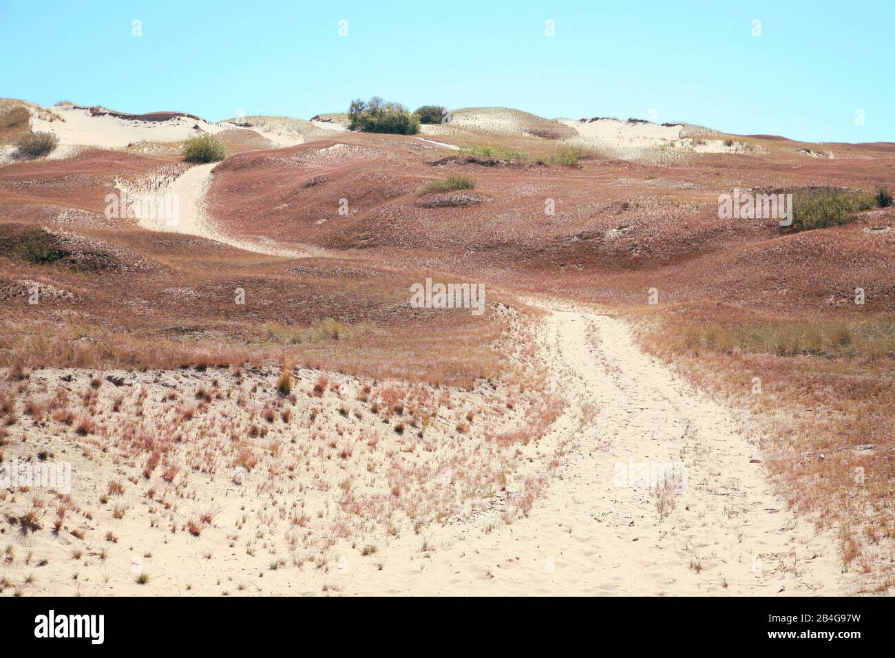 Preila hi-res stock photography and images - Alamy