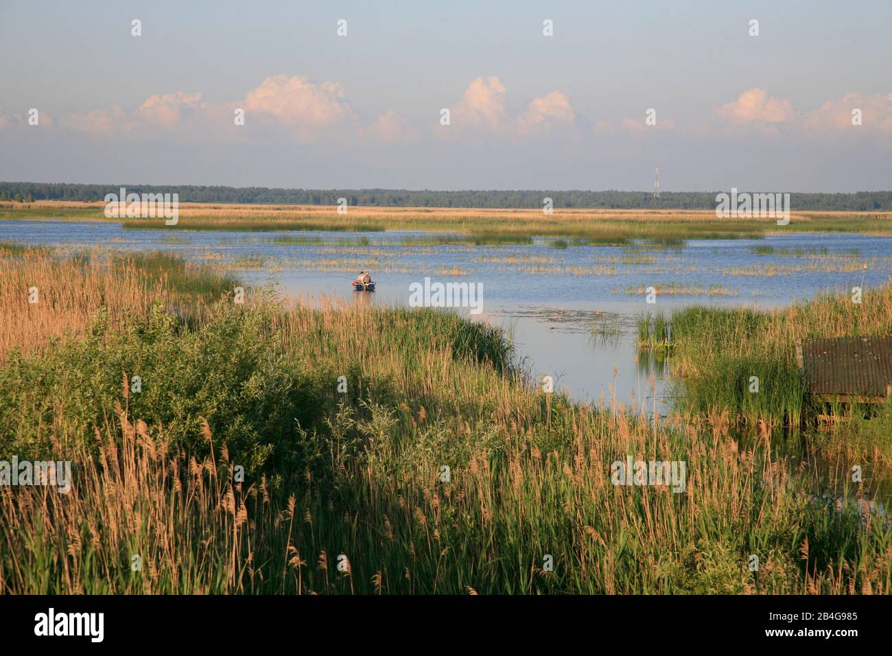 Nature Park, Pape, Latvia Stock Photo - Alamy
