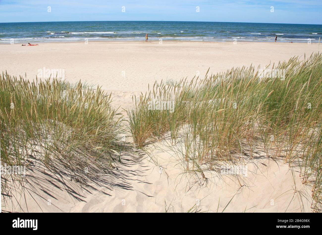 Dune on Baltic sea beach, Lithuania Stock Photo - Alamy