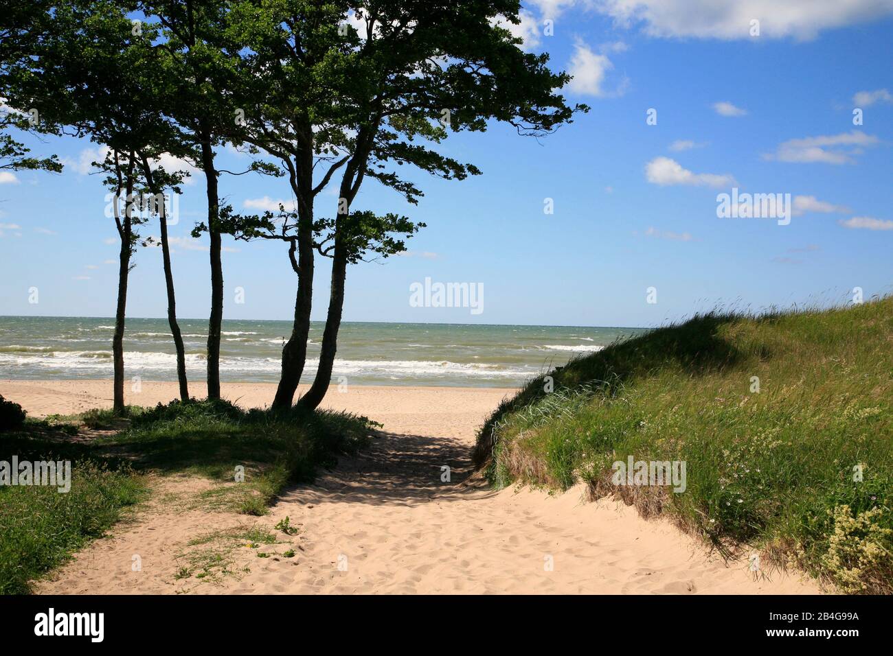 Beach path to the Baltic Sea, Lithuania, Baltic States Stock Photo - Alamy