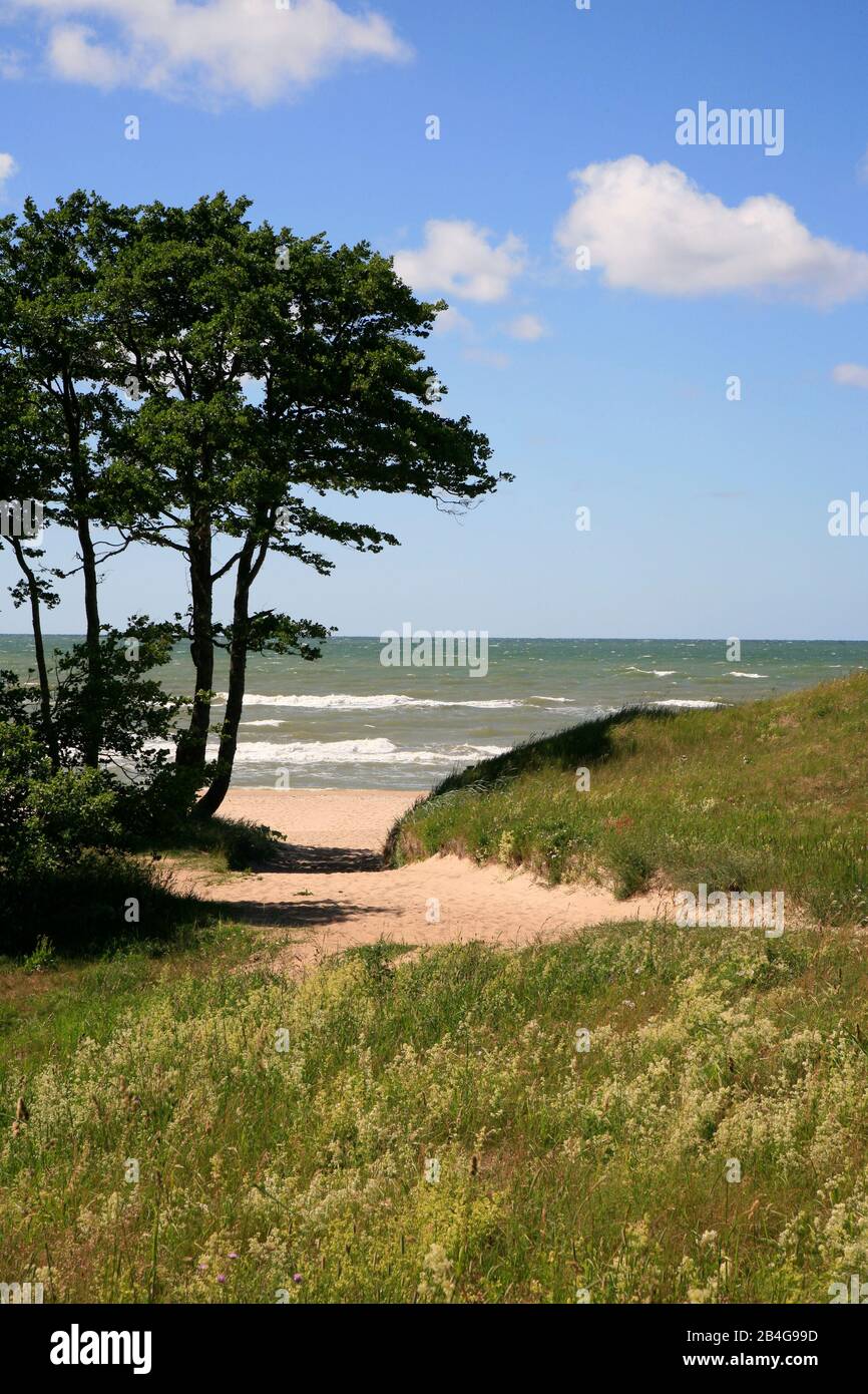 Beach path to the Baltic Sea, Lithuania, Baltic States Stock Photo - Alamy