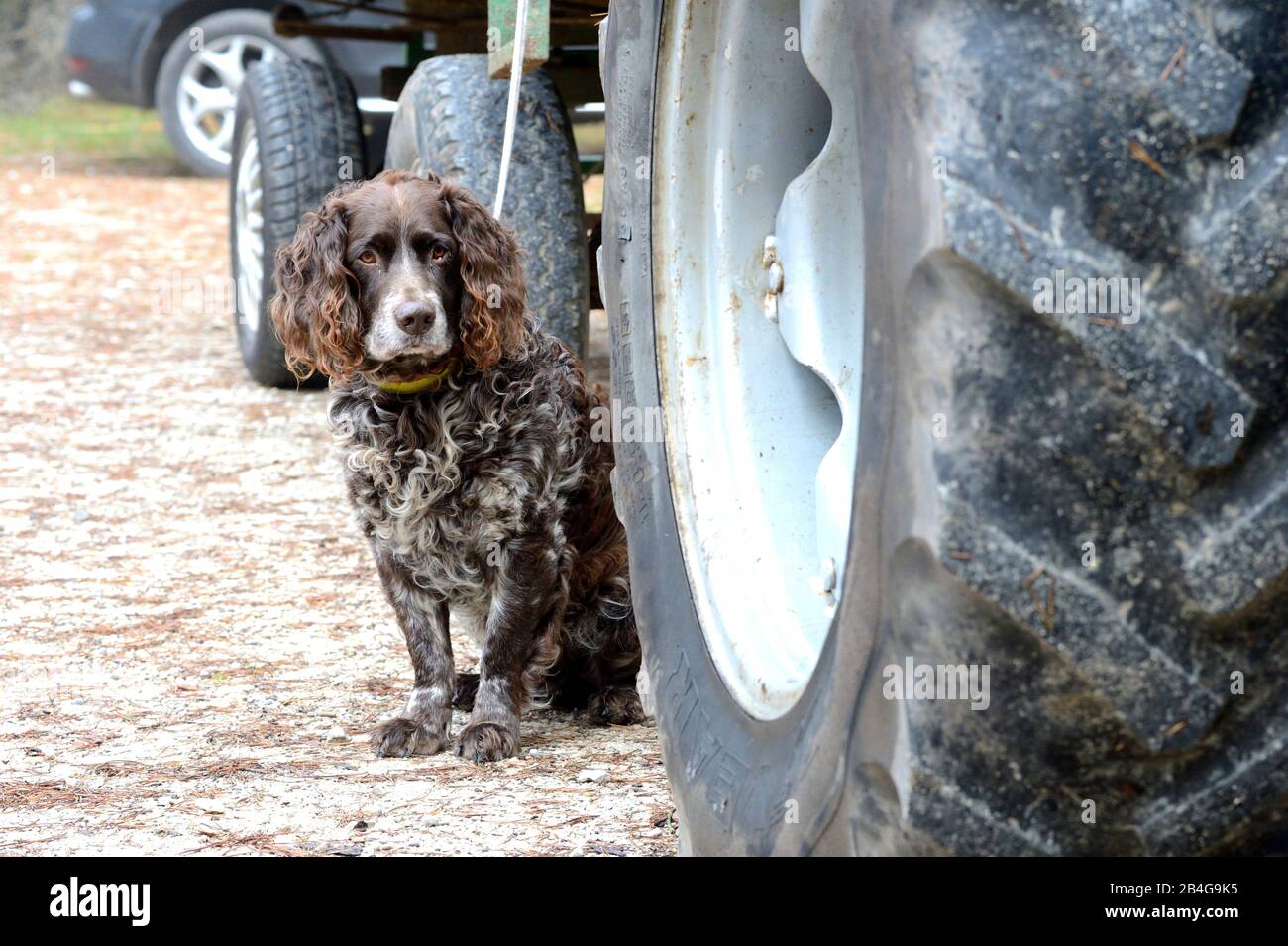 Drive hunt hi-res stock photography and images - Alamy