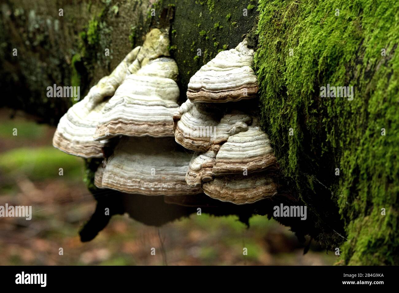 Tinder hi-res stock photography and images - Alamy