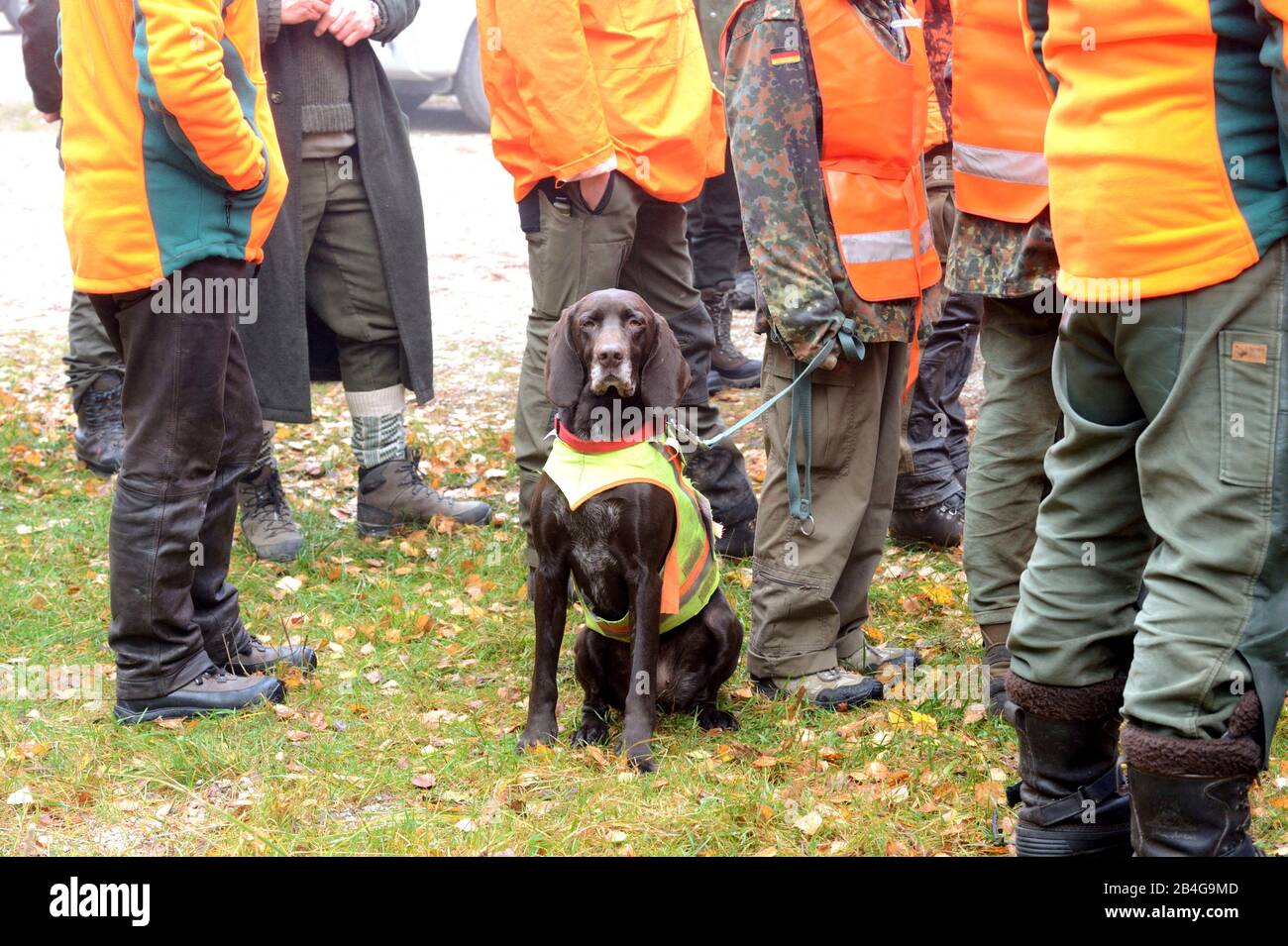 Drive hunt hi-res stock photography and images - Alamy