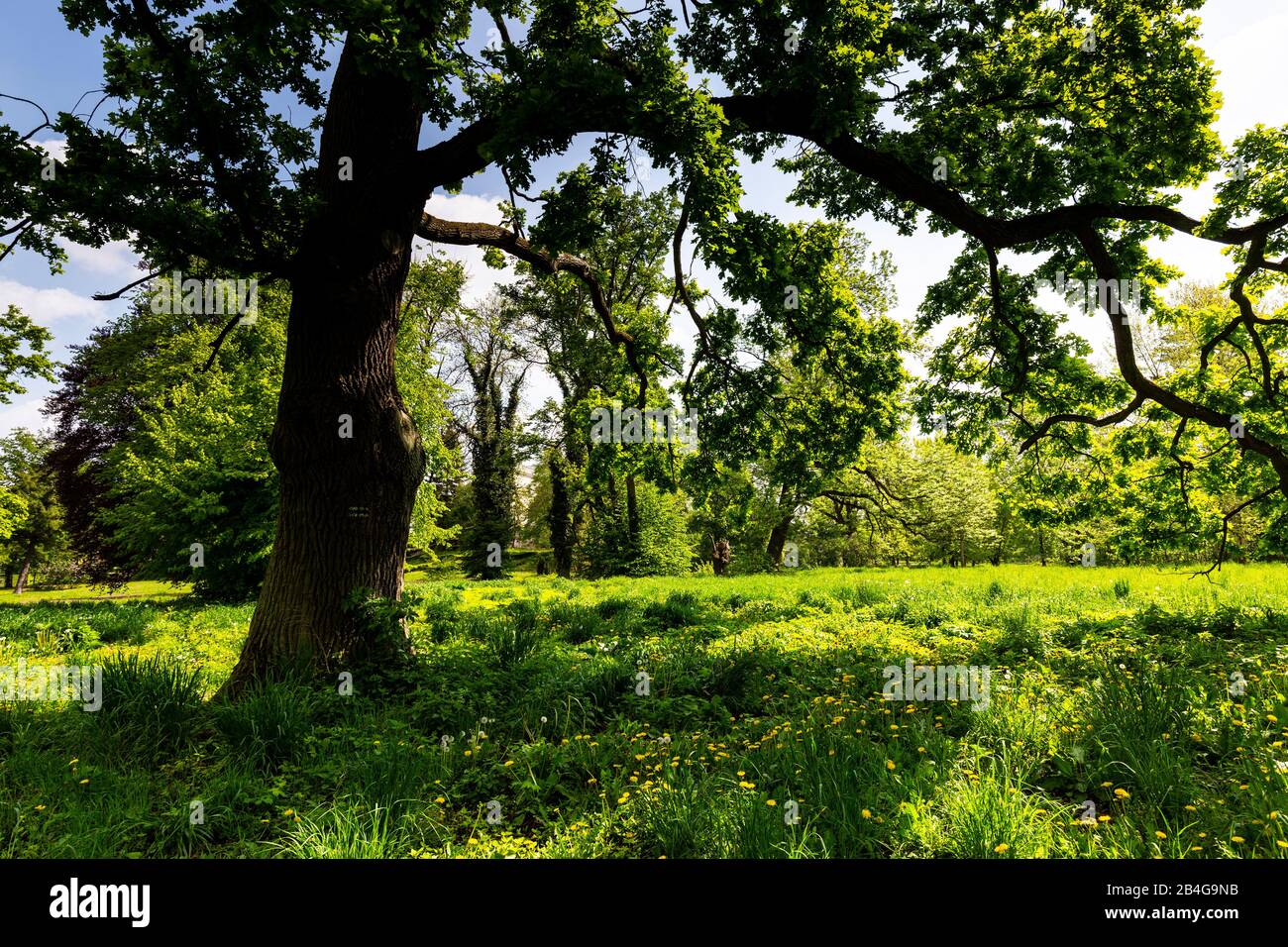 Europe, Poland, Greater Poland, Palace Miloslaw Stock Photo - Alamy