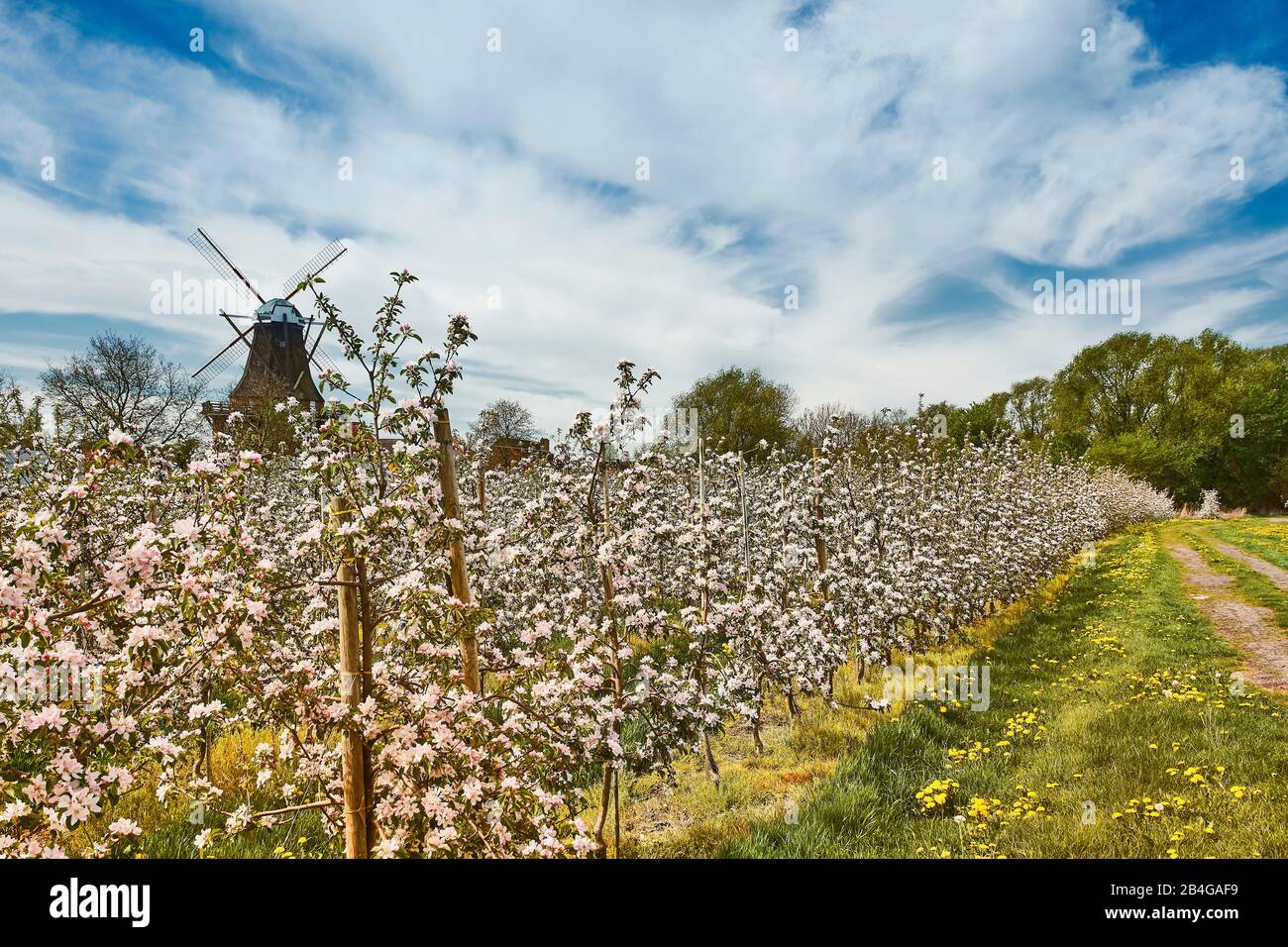 Vintage flower mill hi-res stock photography and images - Alamy