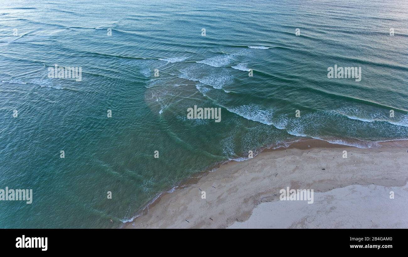 Aerial. Sandy beaches in Ria Formosa, Fuseta and seagulls Stock Photo ...