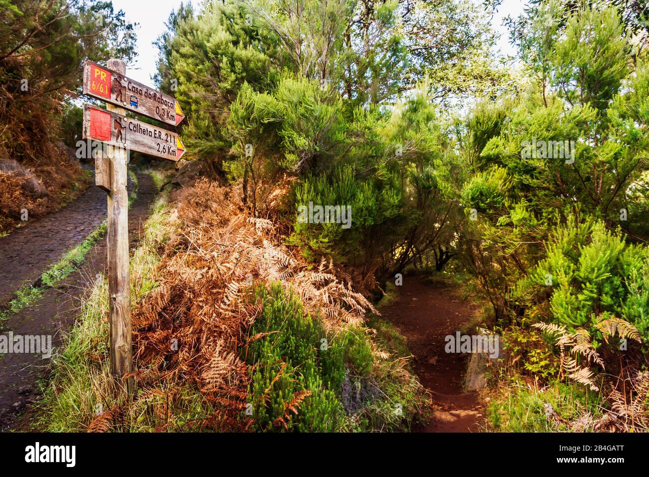 Rabacal nature reserve hi-res stock photography and images - Alamy