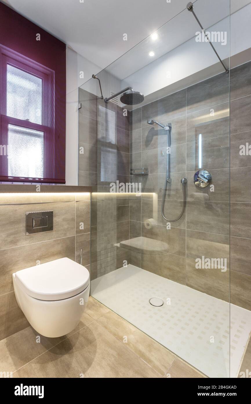 Modern bathroom shower room with toilet and amenities Stock Photo - Alamy
