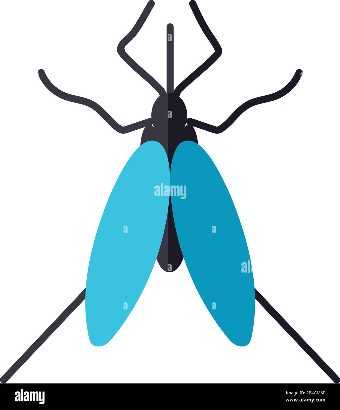 Beetle Insect Icon Over White Background Flat Style Vector