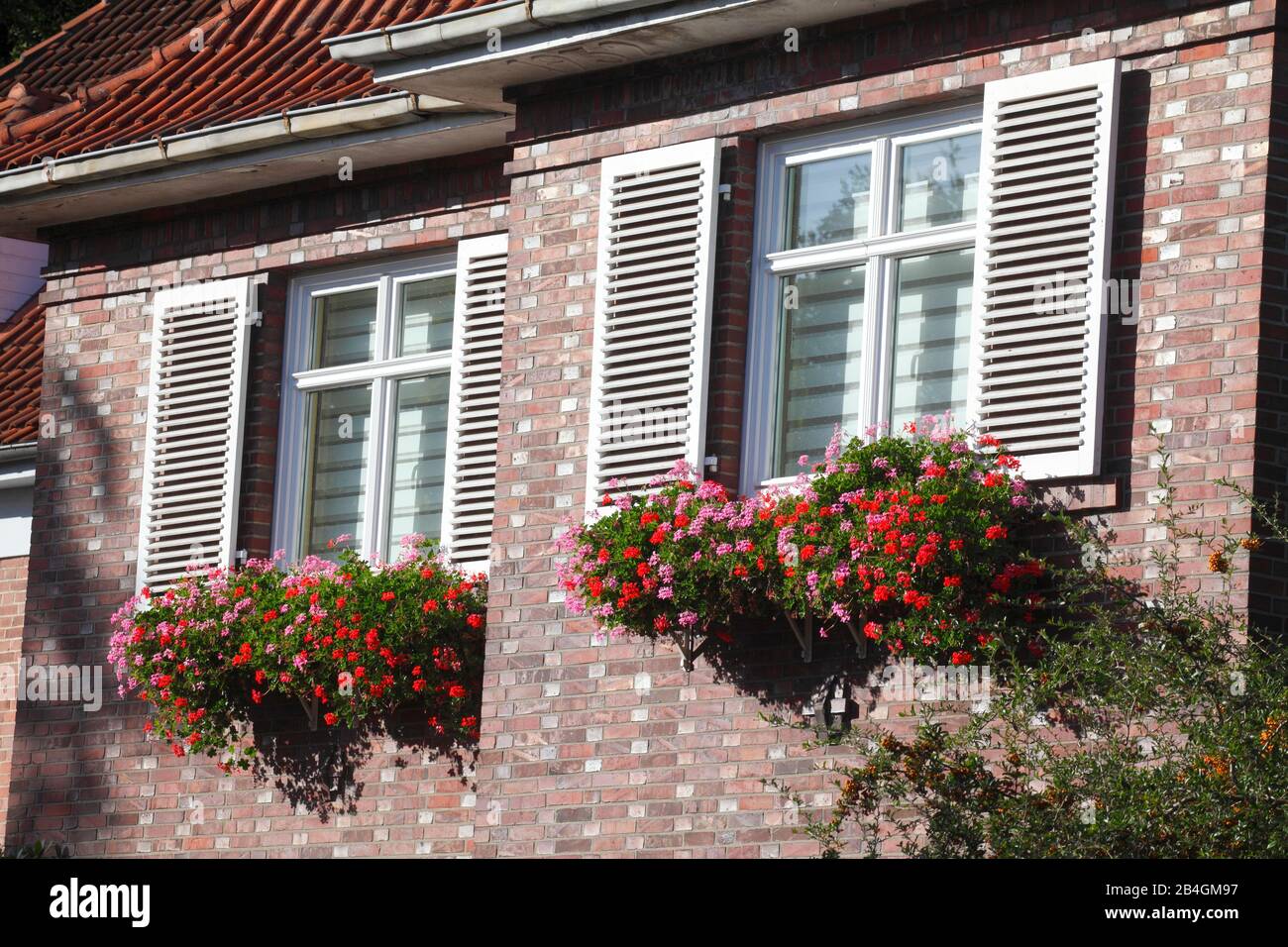 Window with flower boxes at a residential building, Delmenhorst, Lower ...