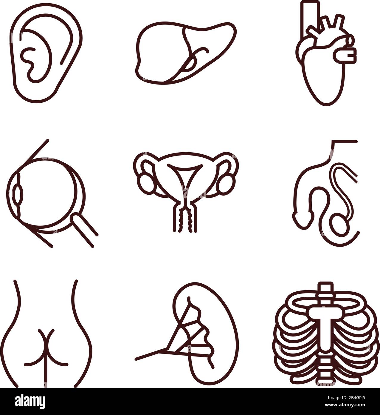 Body parts icons set cartoon Stock Vector Images - Alamy
