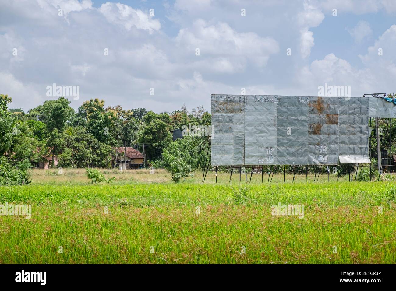 Empty field and palm trees hi-res stock photography and images - Alamy