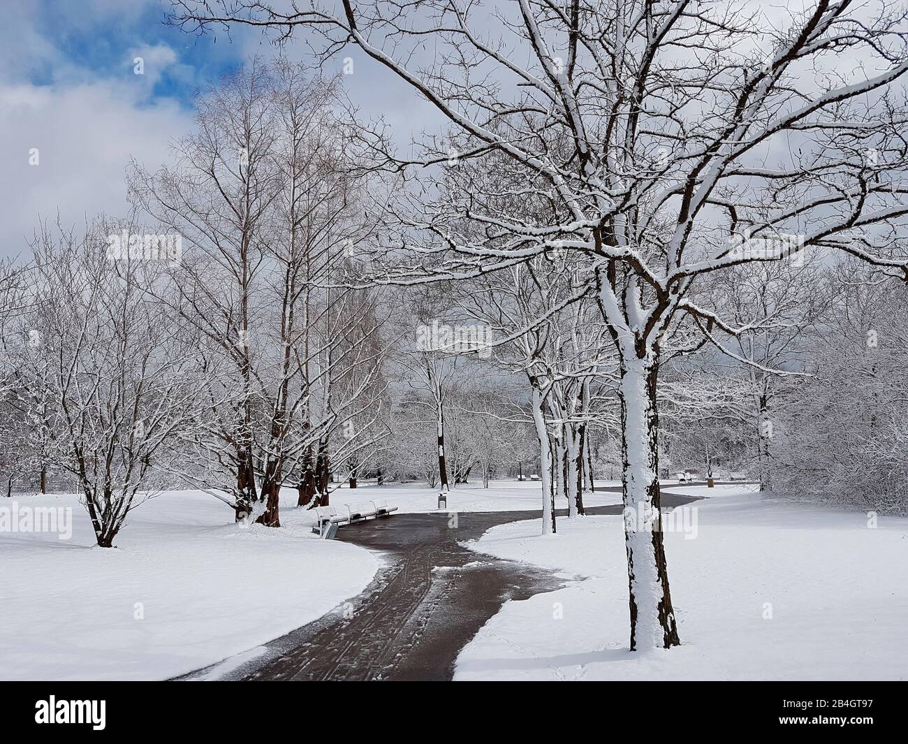 Winter in the city park Stock Photo - Alamy