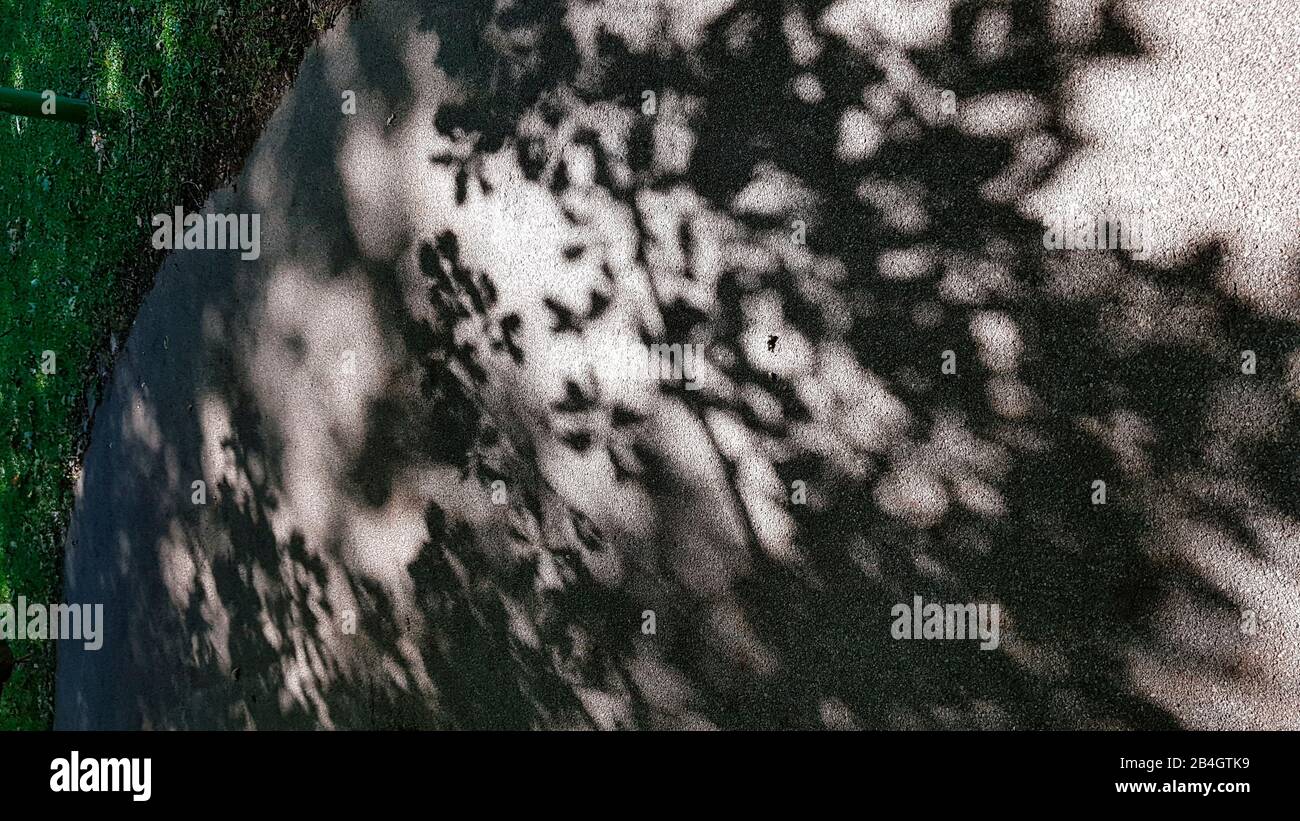 Shadow of trees Stock Photo - Alamy