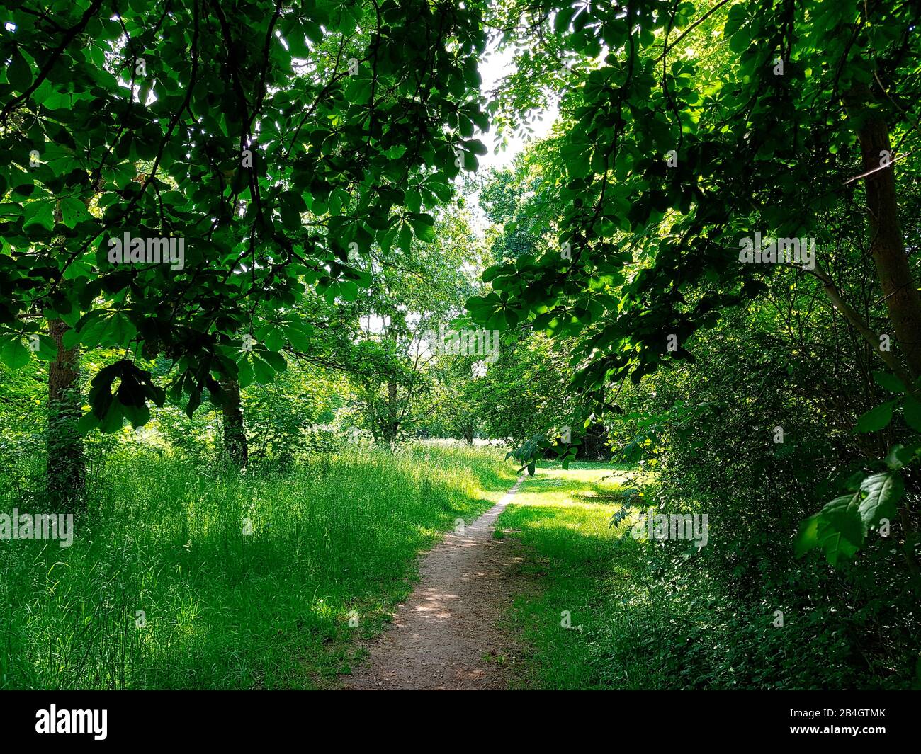 In park people walk hi-res stock photography and images - Alamy