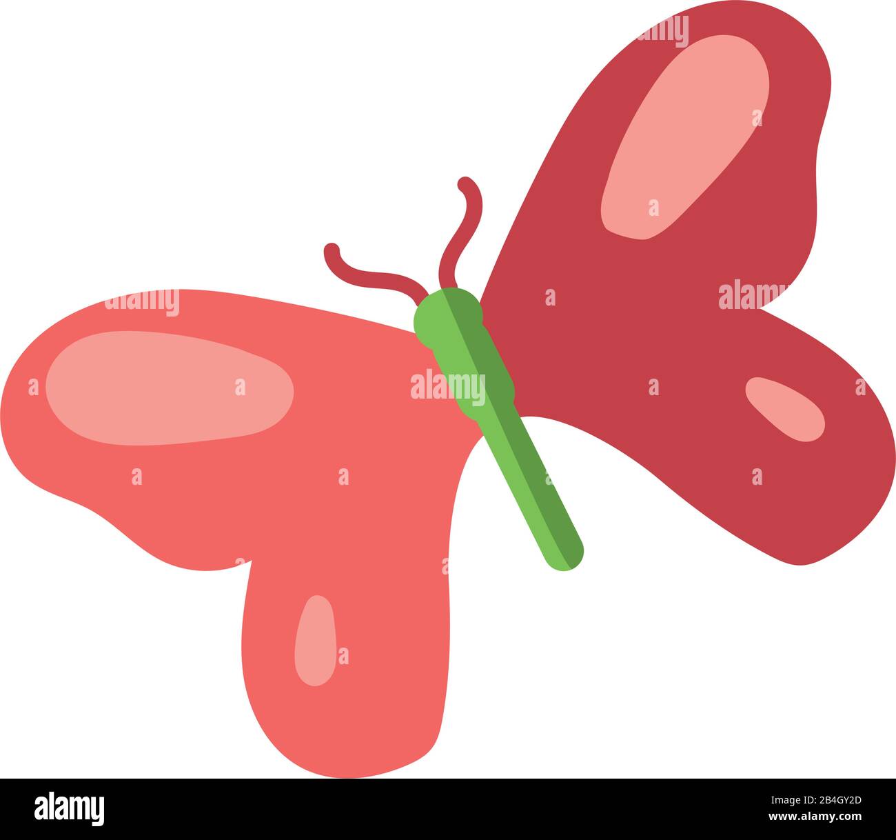 Butterfly Insect Icon Over White Background Flat Style Vector