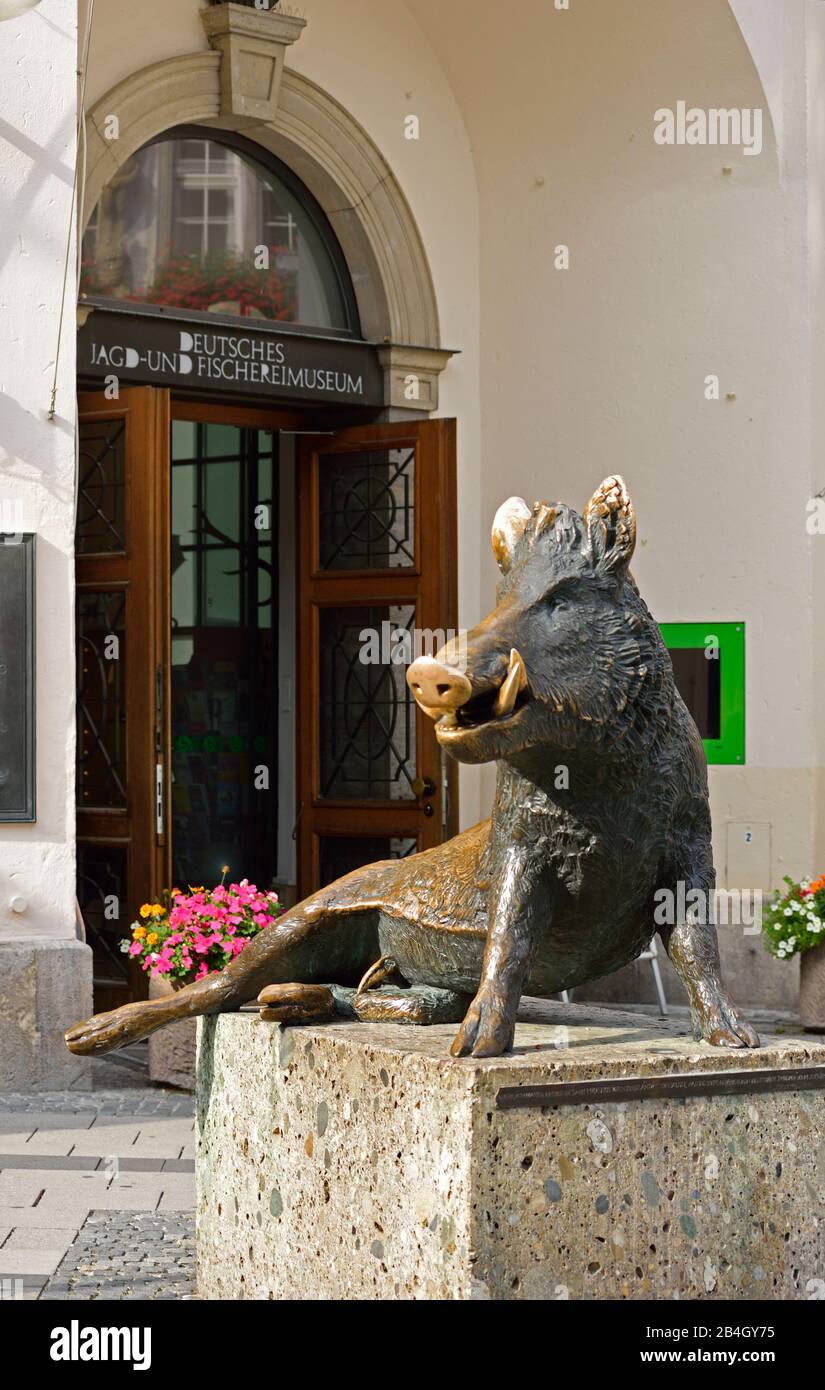 Europe, Germany, Bavaria, City of Munich, City, Neuhauser Strasse ...